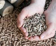 Caldaia a pellet o legna: come sceglierla